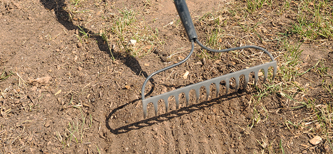 Fall Soil Preparation - Groomed Home